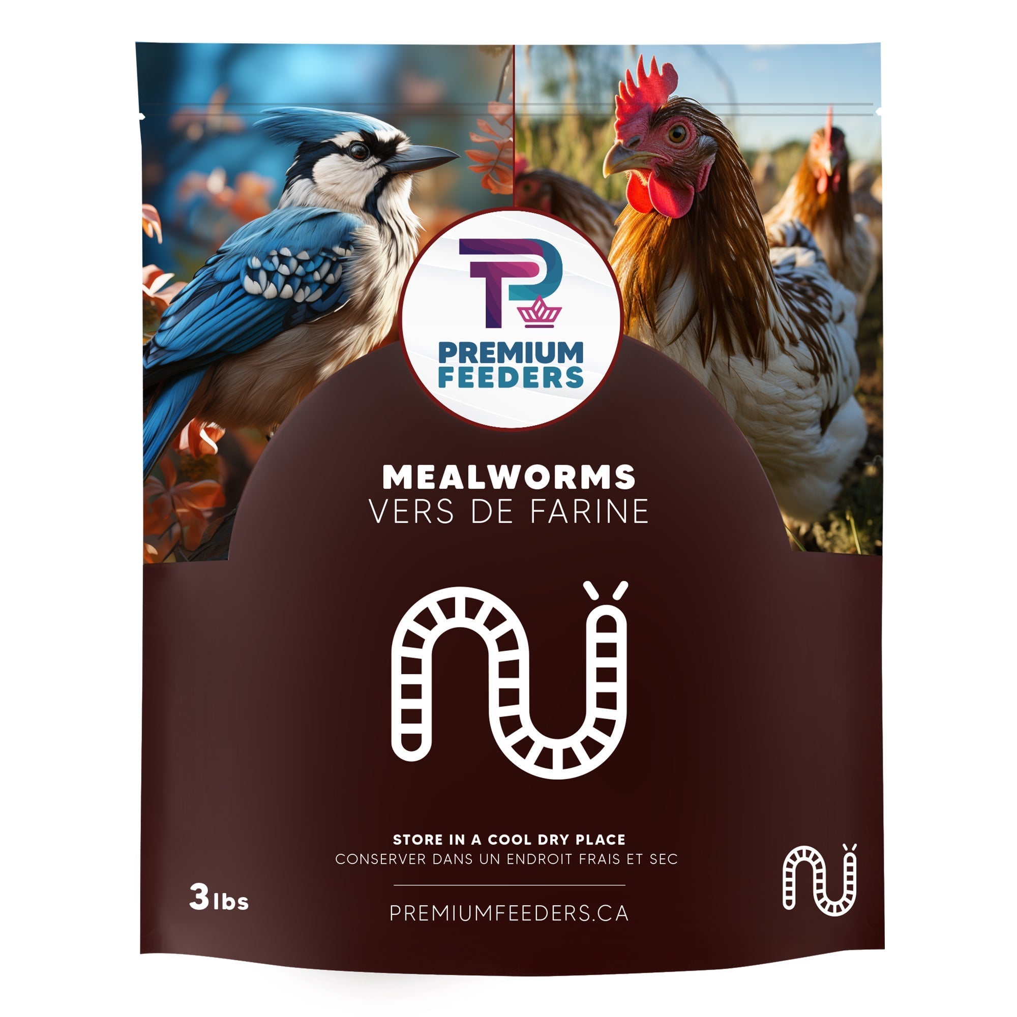 Dried Mealworms 22Lb- High Protein Treat